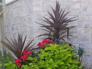 Gallery | Galles Greenhouse